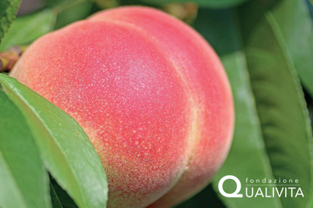 Frutti sensoriali tasting biodiversity